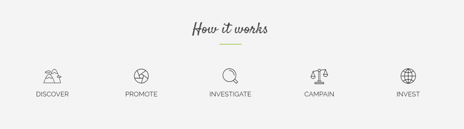 Icon boxes and how to use them: highlight your website's main content.