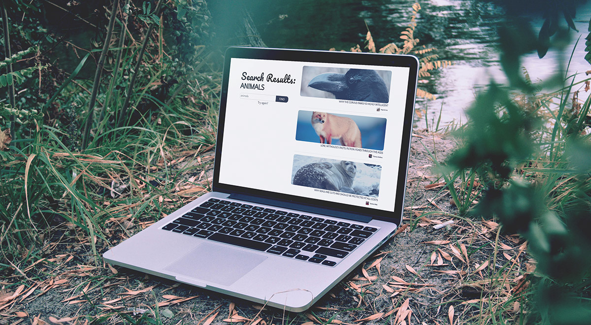 How to Easily Customize WordPress Search Results Pages