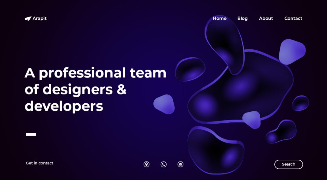 Professional Web Development & Web Design Software Company